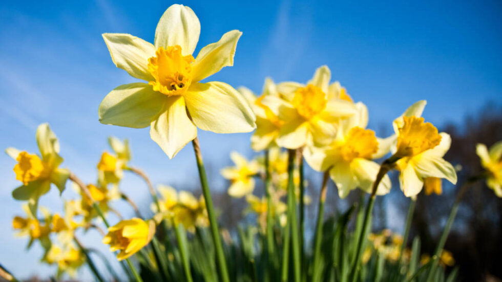 New Courses for Spring - St John's Centre